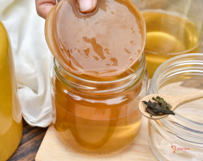 Domácí kombucha recept | Vaření.cz